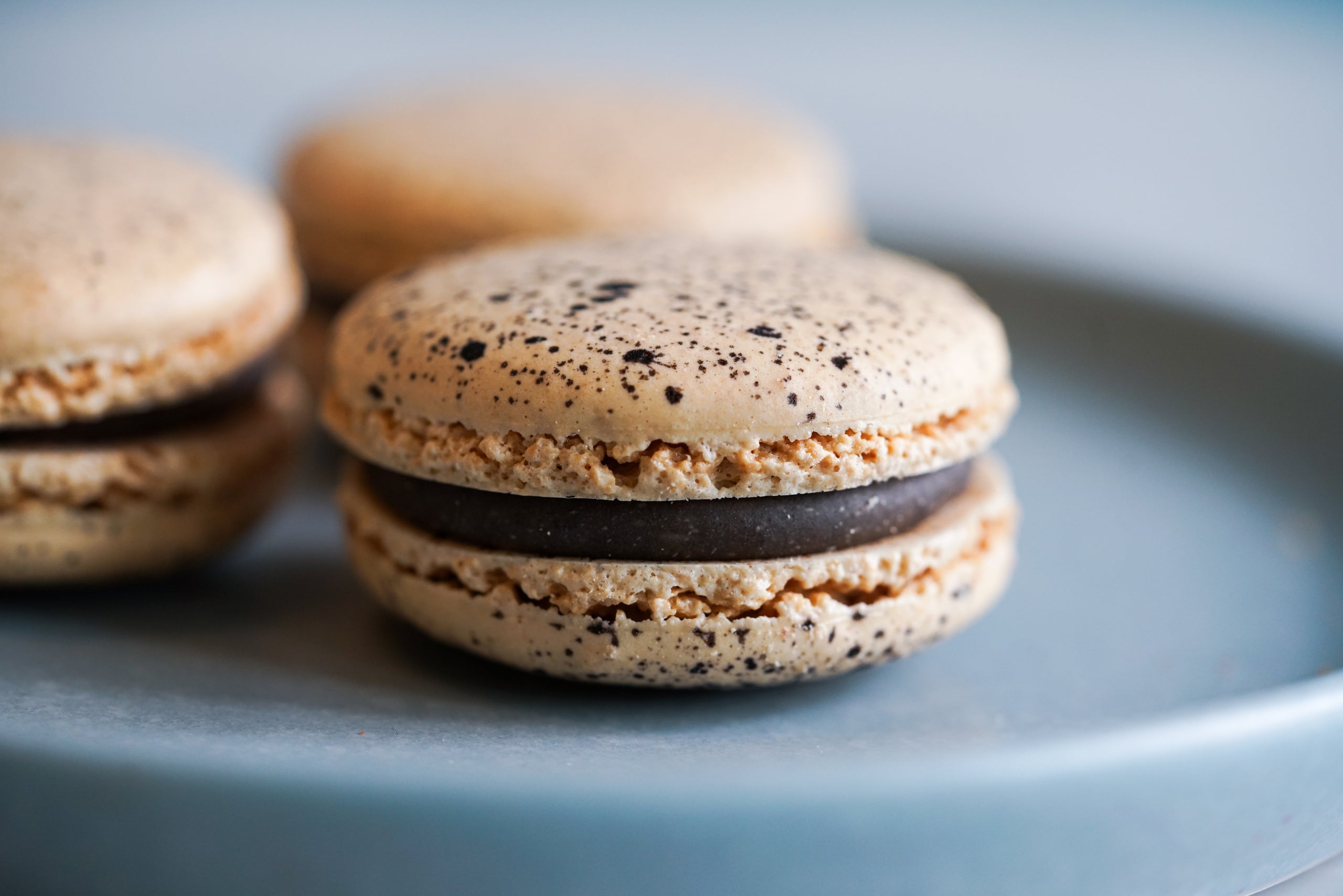 Macaron 1 Piece | Praliné French Pastries